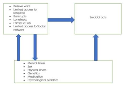 The Model Showing The Causal Relationship Between Depression And Other