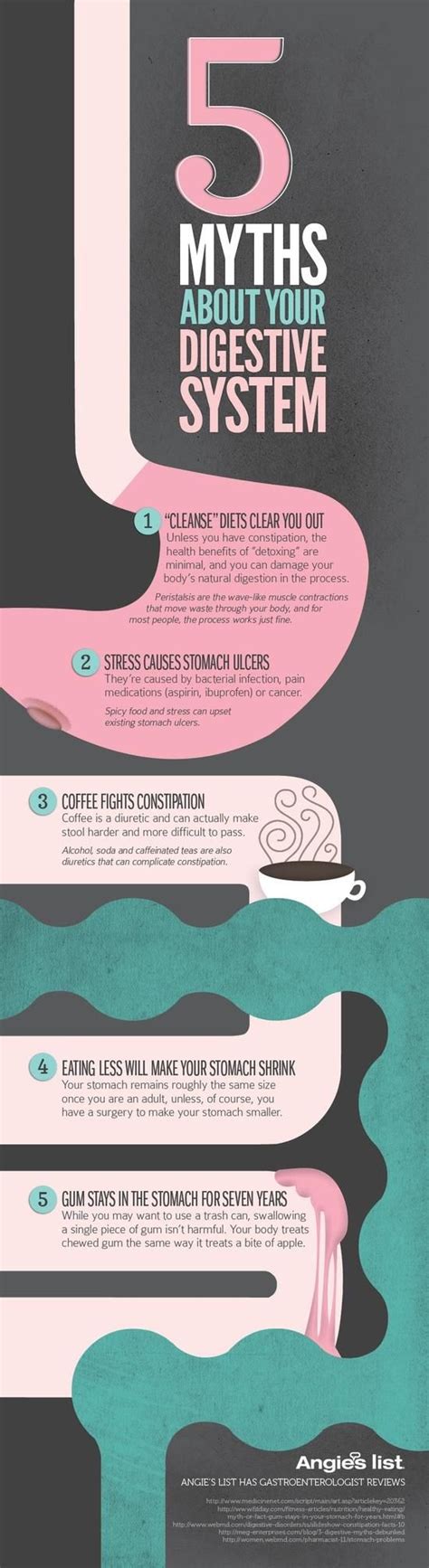 Health Infographic 5 Myths About Your Digestive System