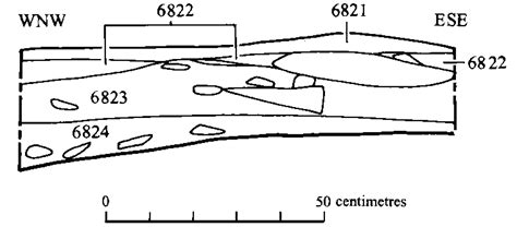 6 Profile Of Test Pit In Later Prehistoric Shell Midden Deposit Sfs