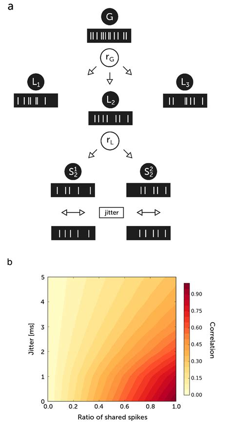 Model Of Correlated Synaptic Activity A From The Global Spike Train
