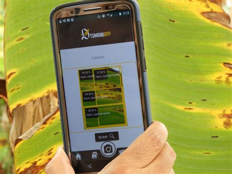 Tumaini An Ai Powered Mobile App For Pests And Diseases Cgiar