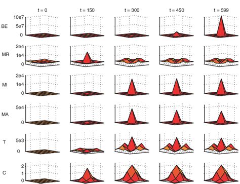 5 Surface Plots Of The Spatial Distribution Of Extracellular Bacteria