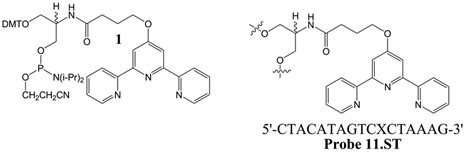 Serinol Terpyridine Artificial Ribonucleases Phosphoramidite 1 And 11 St Download Scientific