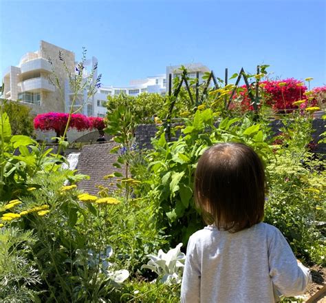 미국서부 가족여행 스탠포드 코스 아이와 미국여행준비물 아기와 미서부 자유여행 네이버 블로그