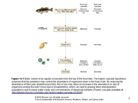 Chapter Controls On Ecosystem Structure And Function