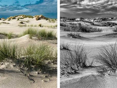 Realistic Colorization Of Black And White Photo Upwork