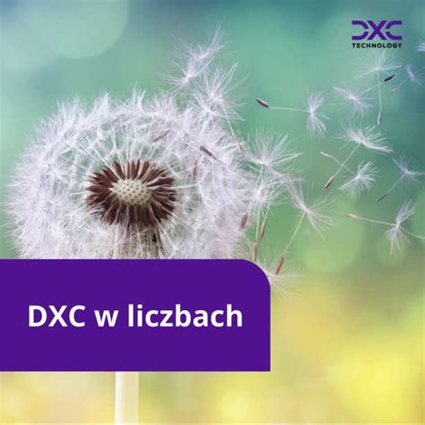 [video] Dxc Technology Poland On Linkedin Dandelion 1 Mp4