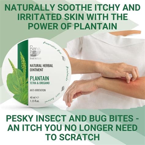 Benepura Plantain Ointment Natural Anti Itch Cream Bug Bite Itch