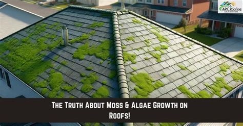 Metal Roofing Adding Charm To Florida Homes Apc Roofing Florida