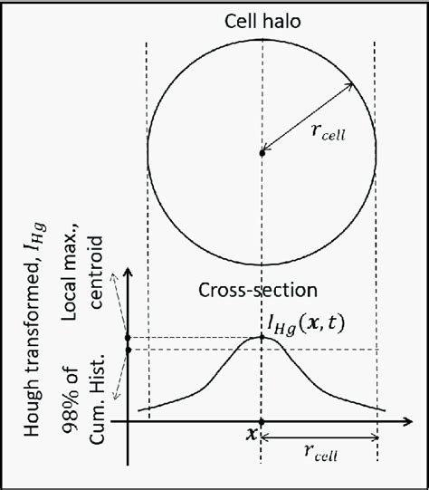 Conditions For Cell Centroid Detection In An Extended Circle Hough