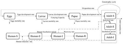 Picturee—aedes A Web Application For Dengue Data Visualization And Case Prediction