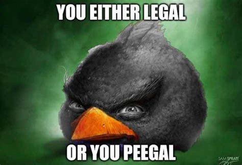 24 Angry Birds Memes And Memes Ideas To Save Today Bird Meme Really