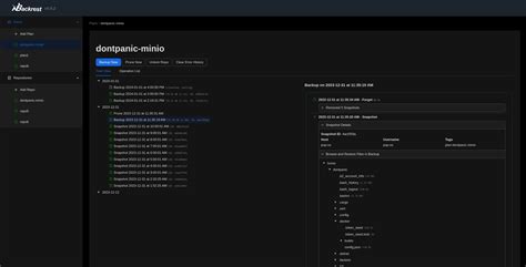 Backrest A Cross Platform Backup Orchestrator And WebUI For Restic