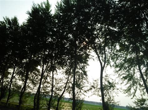 你们喜欢什么样的女孩？ 知乎