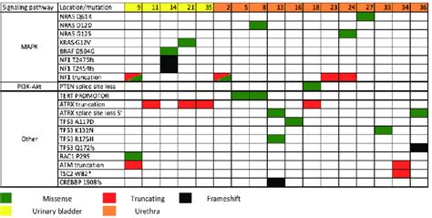 Mutational Pattern Of Urinary Tract Melanoma In Denmark Urethral