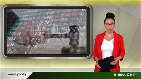 В Чикаго и Париж само контрактите на пшеницата са на зелено Youtube