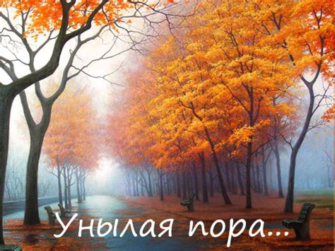 Открытка Унылая пора №1133 Раздел Открытки с осенью