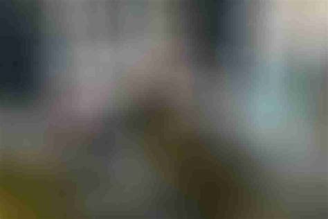 Hot Seaweeds Are Having Sex In Your Area And We Funded It We Are