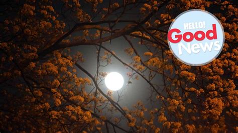 Super Flower Moon In The Uk How To See The Last Supermoon Of The Year