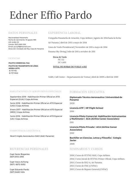 Currículum De Edner Effio Pardo Pdf