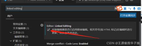 Vs前端开发常用的插件，和配置linked Editing Csdn博客