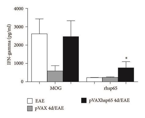 Effect Of Previous Vaccination With Pvaxhsp65 At The Cns C57bl6 Mice