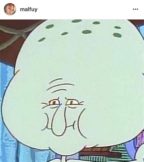 Pin By Princess Morbucks 👸🏻 On Reaction Pics Memes Decorative