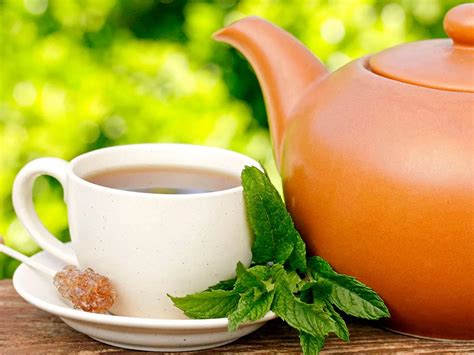 Nature Quelles Plantes Pour Faire Une Bonne Tisane Cet Hiver Public