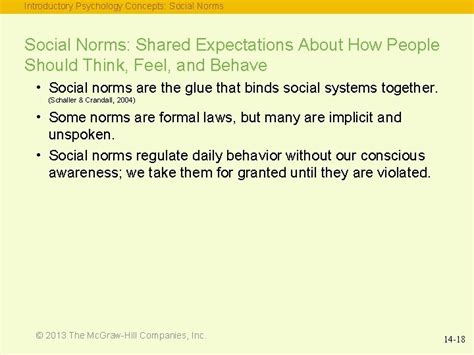 Introductory Psychology Concepts CHAPTER 14 SOCIAL PSYCHOLOGY Professor