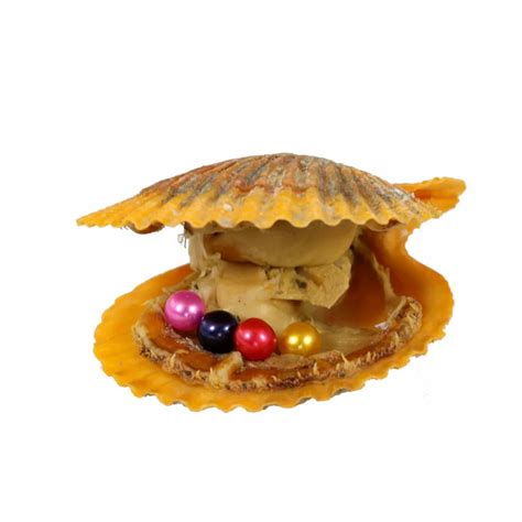 Red Orange Oyster Natural Freshwater Cultured Love Wish Pearl Oyster 6