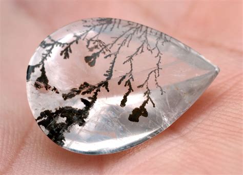 Quartz Dendrite Crystals And Gemstones Rocks And Minerals Dendrite