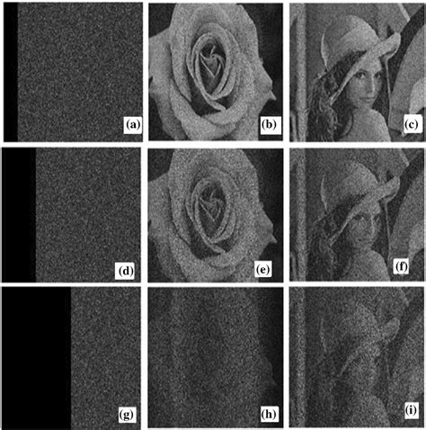 Depicts The Occlusion Attack Of A Encoded Images With 10 Occlusion