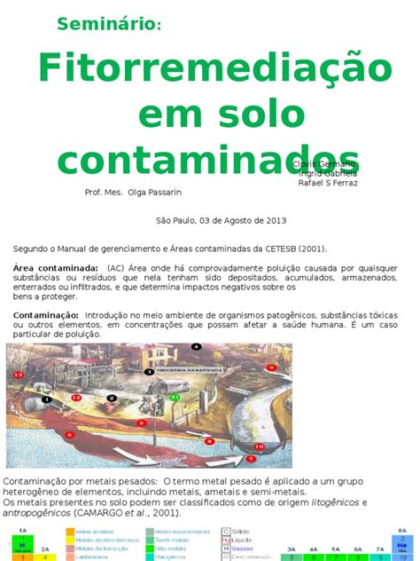 Seminário Sobre Fitorremediação De Solos Contaminados Por Metais