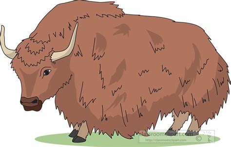 Yak Clipart Clipart Shaggy Hair Yak Animal Clipart Classroom Clipart