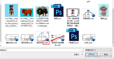 如何在word里插入矢量图 word插入矢量图 csdn博客
