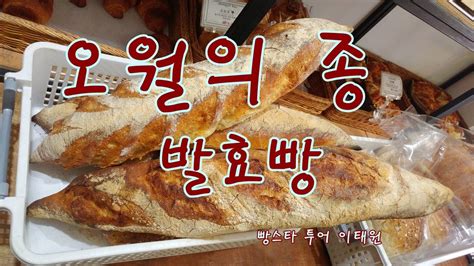 오월의 종 베이커리 호밀 사워 무화과 빵 이태원 핫플레이스베이킹 쌤이 강추한 필수 투어 코스 꼭 가봐야 해 Youtube