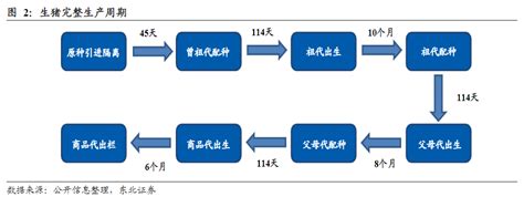 绕不开的猪周期