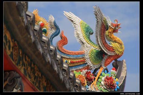 致青春 那些年去过的祠堂20191 Sevensem 志影网络