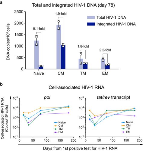 Transmission Of Highly Virulent Cxcr4 Tropic Hiv 1 Through The Mucosal