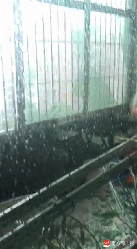 深圳一住宅门窗玻璃被台风“吹爆”连洗衣机都刮走，居民急撤离坪山