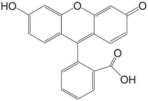 Fluorescein Store Norske Leksikon