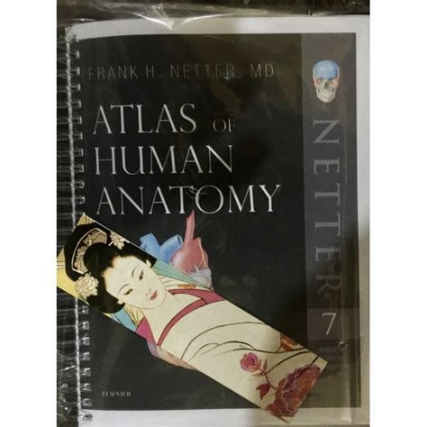 Sale Netters Atlas Of Human Anatomy Flashcards Coloring Book Latest