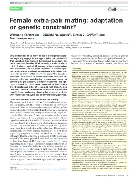 pdf female extra pair mating adaptation or genetic constraint