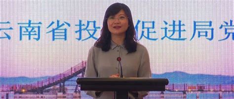 “80后”女官员被查：上个月还出席活动，曾是全国最年轻的正厅级干部段颖云南省工作