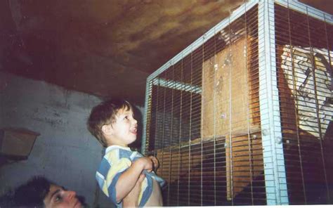 לוריס איטי משפח הקיפופים שהגיע לפינת החי במשמר השרון