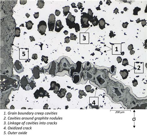 Lom Micrograph Various Types Of Damage In Simo51 14 Mpa Download