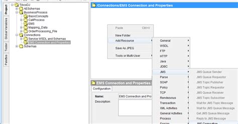 Mule Esb Tutorials Working With Jms Palettes In Tibcobw Process