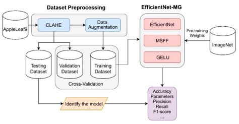 Efficient Identification Of Apple Leaf Diseases In The Wild Using Convolutional Neural Networks