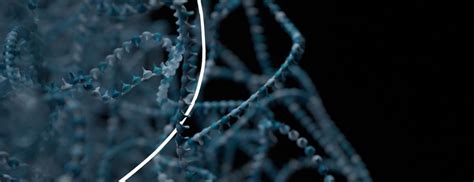 Genomic Structural Variations And Beyond