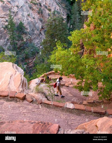 ANGELS LANDING ZION NATIONAL PARK SPRINGDALE UTAH USA Switchbacks